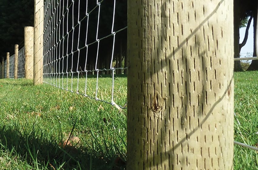 AGRICISED® - LONG LIFE FENCING POSTS AND STRAINERS - Fencing and ...