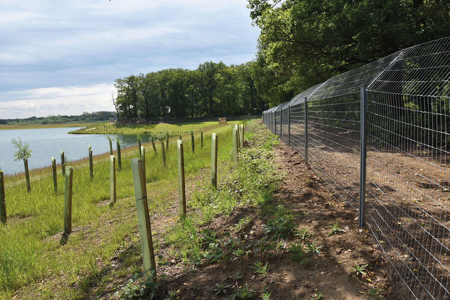 HAMPTON WORKS WITH EMBRYO TO TRANSFORM A SIX-LAKE SITE AT NORTON DISNEY ...