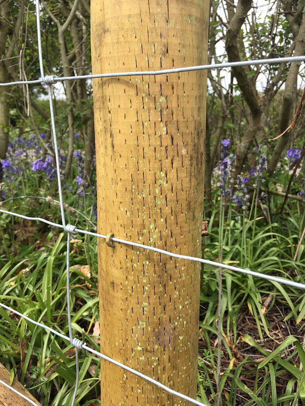 AGRICISED® – HIGH PERFORMANCE FENCING POSTS AND STRAINERS - Fencing and ...
