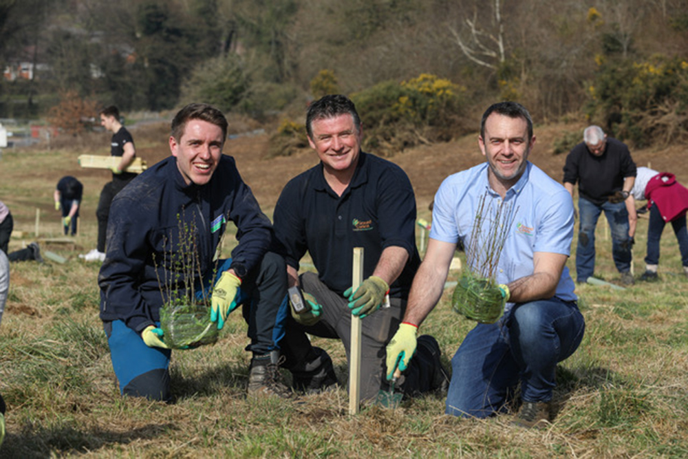 OVER 6,000 TREES PLANTED FOR COMMONWEALTH FOREST - Fencing and ...