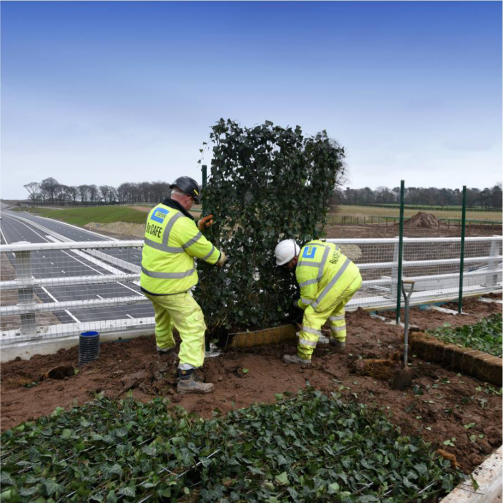 BRINGING FENCING TO LIFE WITH GREEN SCREENS - Fencing and Landscaping News
