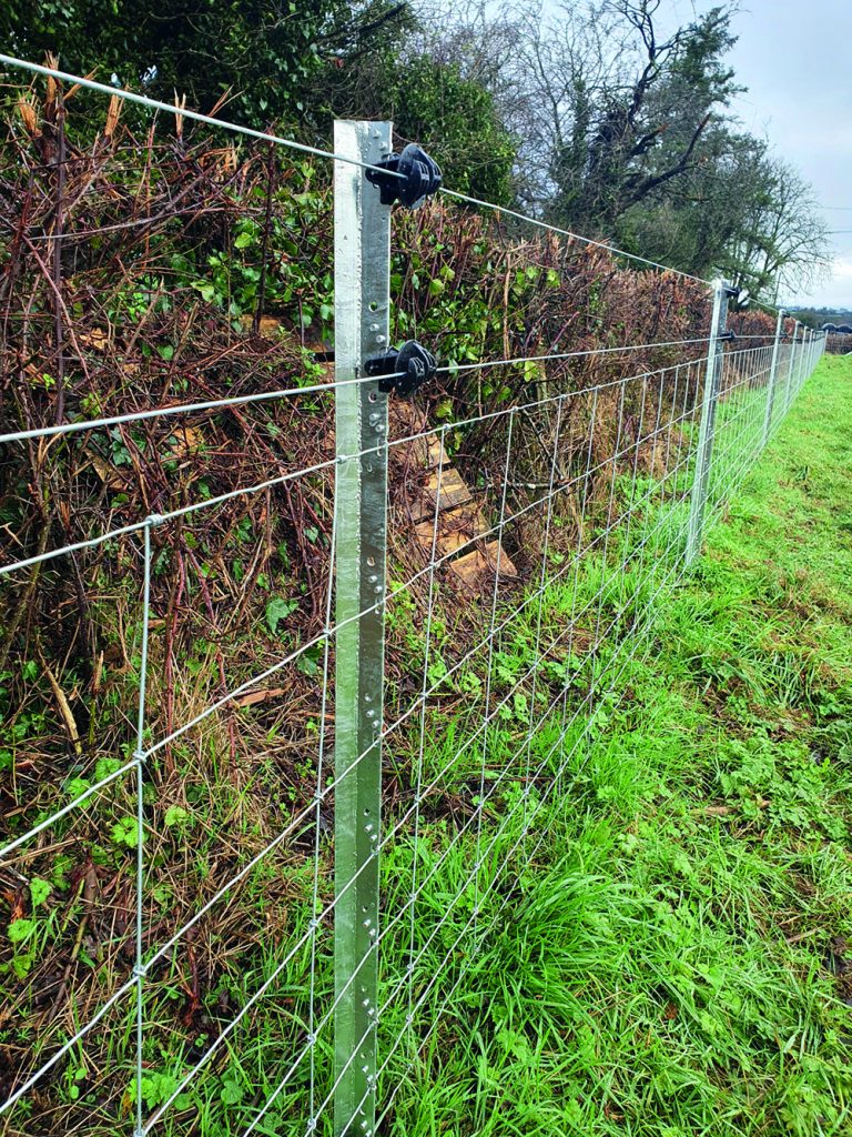 TORNADO & CLIPEX – OUTSTANDING IN ITS FIELD - Fencing and Landscaping News