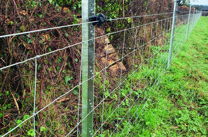 TORNADO & CLIPEX – OUTSTANDING IN ITS FIELD - Fencing and Landscaping News