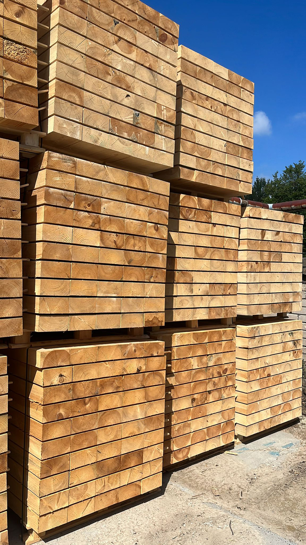 GETTING CLOSER TO THE FOREST WITH EVA TIMBER - Fencing and Landscaping News