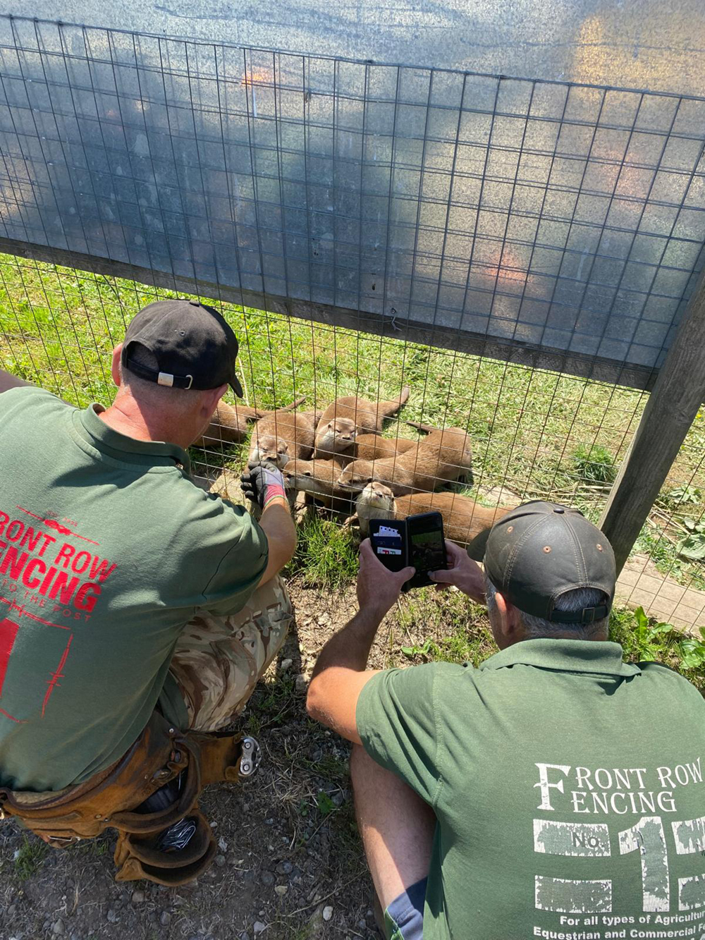EASY TIGER... ENCLOSURE PROJECT FOR CHARLIE - Fencing and Landscaping News