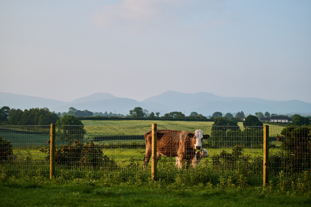OCTOPOST ON THE LOOKOUT FOR STOCKISTS - Fencing and Landscaping News